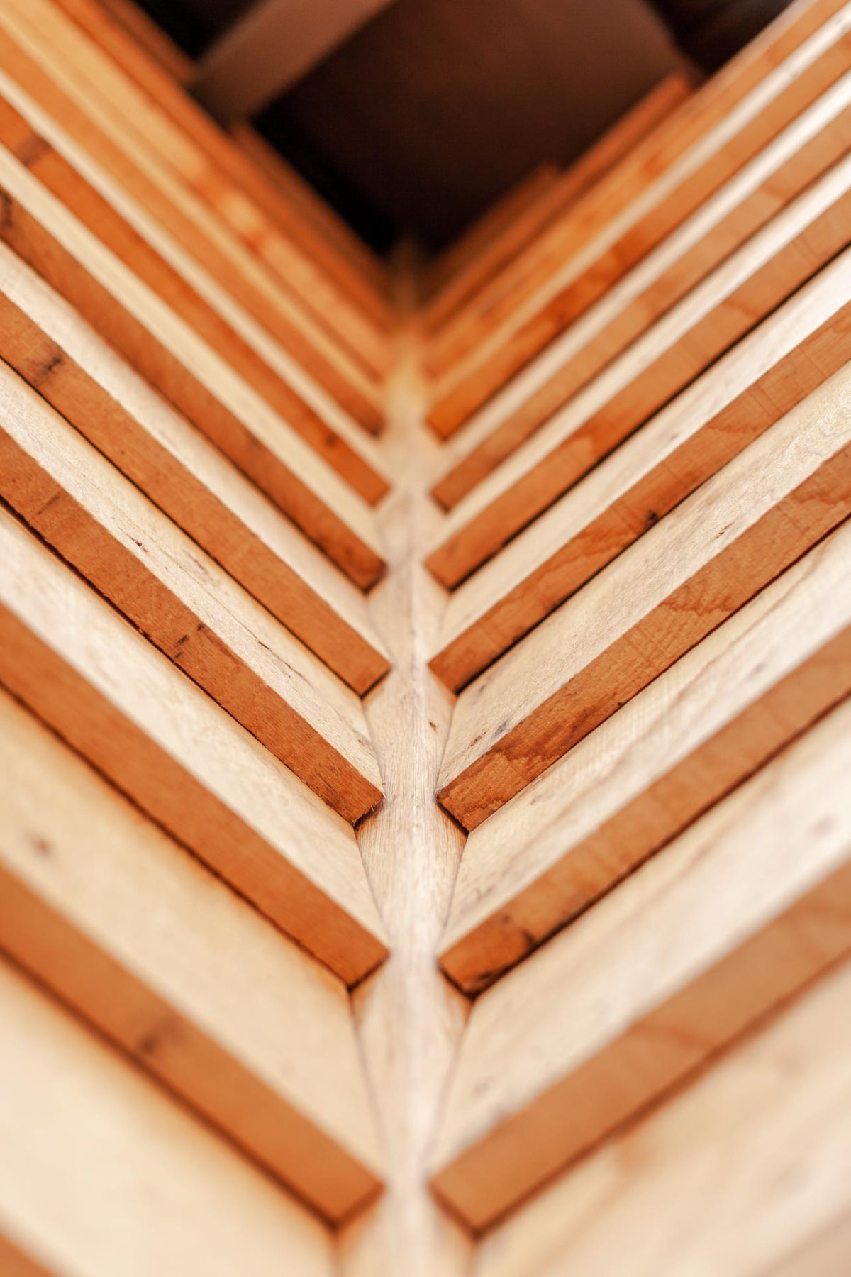 Treetops - C.Curtis Building